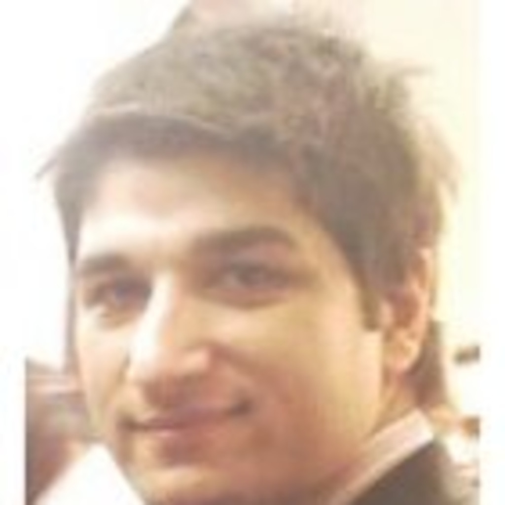 Amir Mehrani - Business Strategist, Consultant - C1 | XING