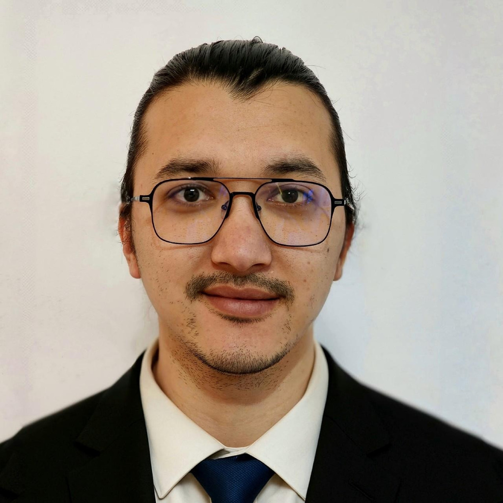 Amir Mohammadi - Flutter Developer - Pinno | XING