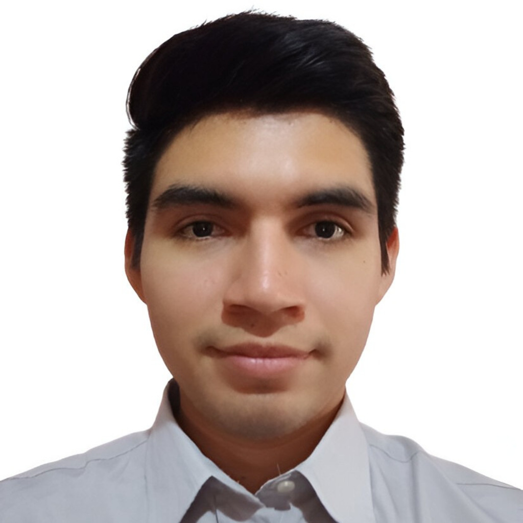 David Francisco Morillo Acuña - Business Intelligence Analyst Assistant ...