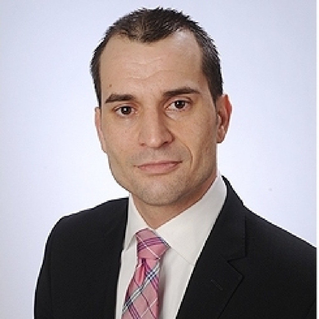 Klaus J. Bergmann - Projektsteuerer - Schüßler Plan | XING