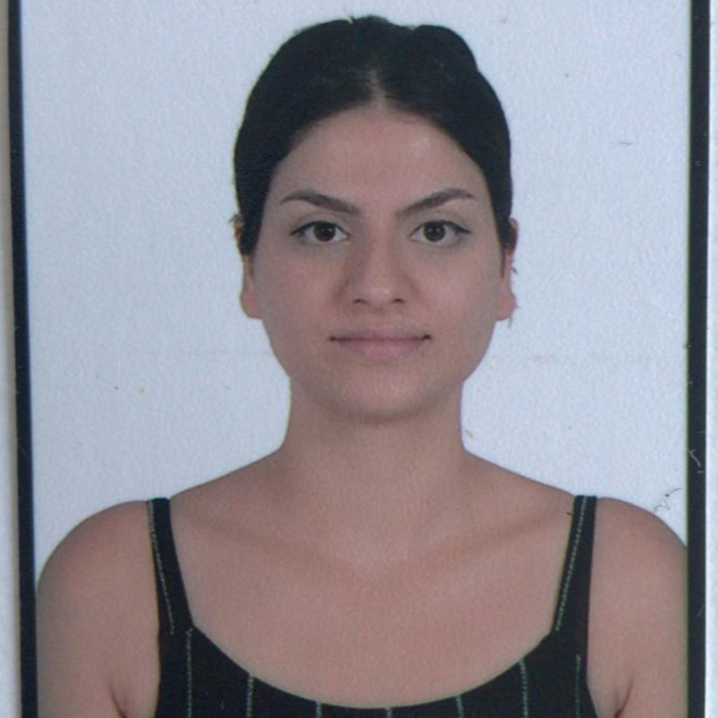 deniz nergiz - Junior Software Developer - raif usal | XING