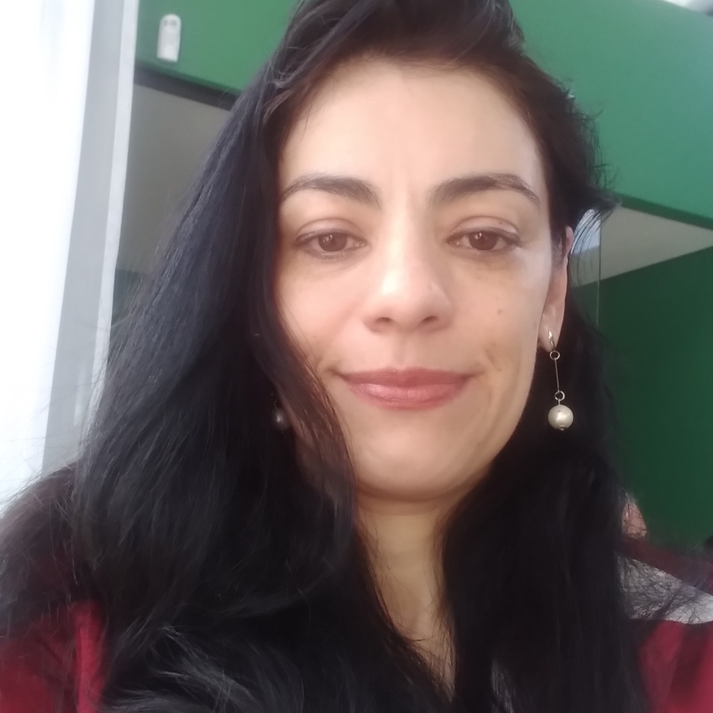 Priscila Faria - Business Analyst - Sanca Engenharia | XING