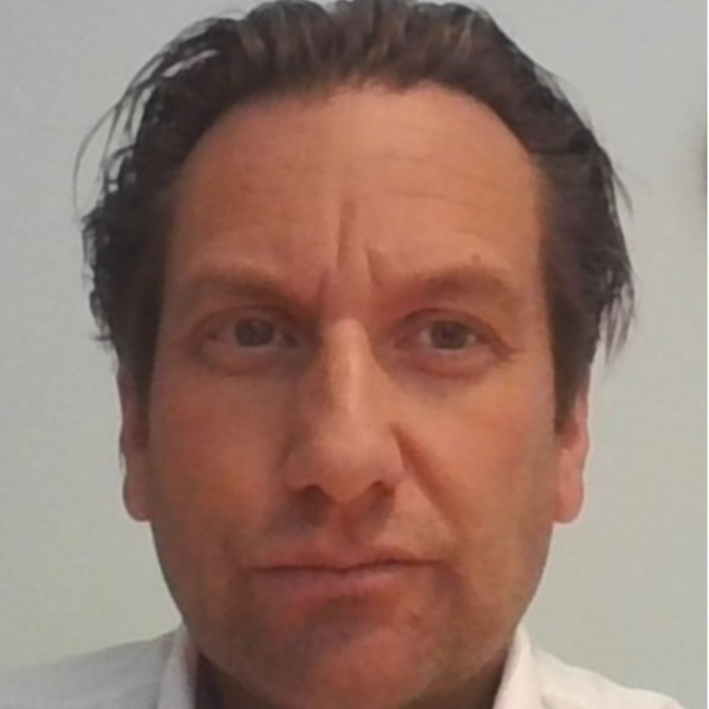 Daniel Messinger - Projektleiter/Senior Consultant - Daniel Messinger | XING