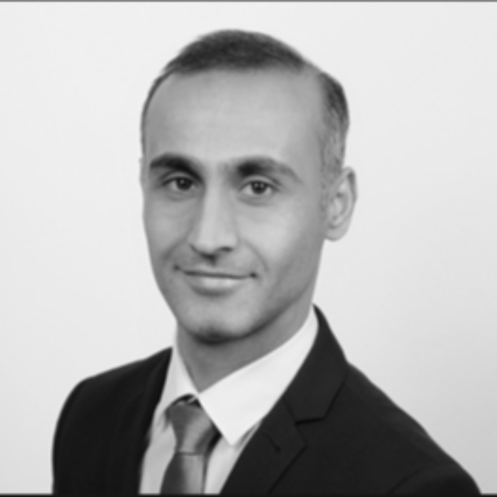 Bashar Ismael - Dr. -Ing. - Holinger Ingenieure GmbH | XING