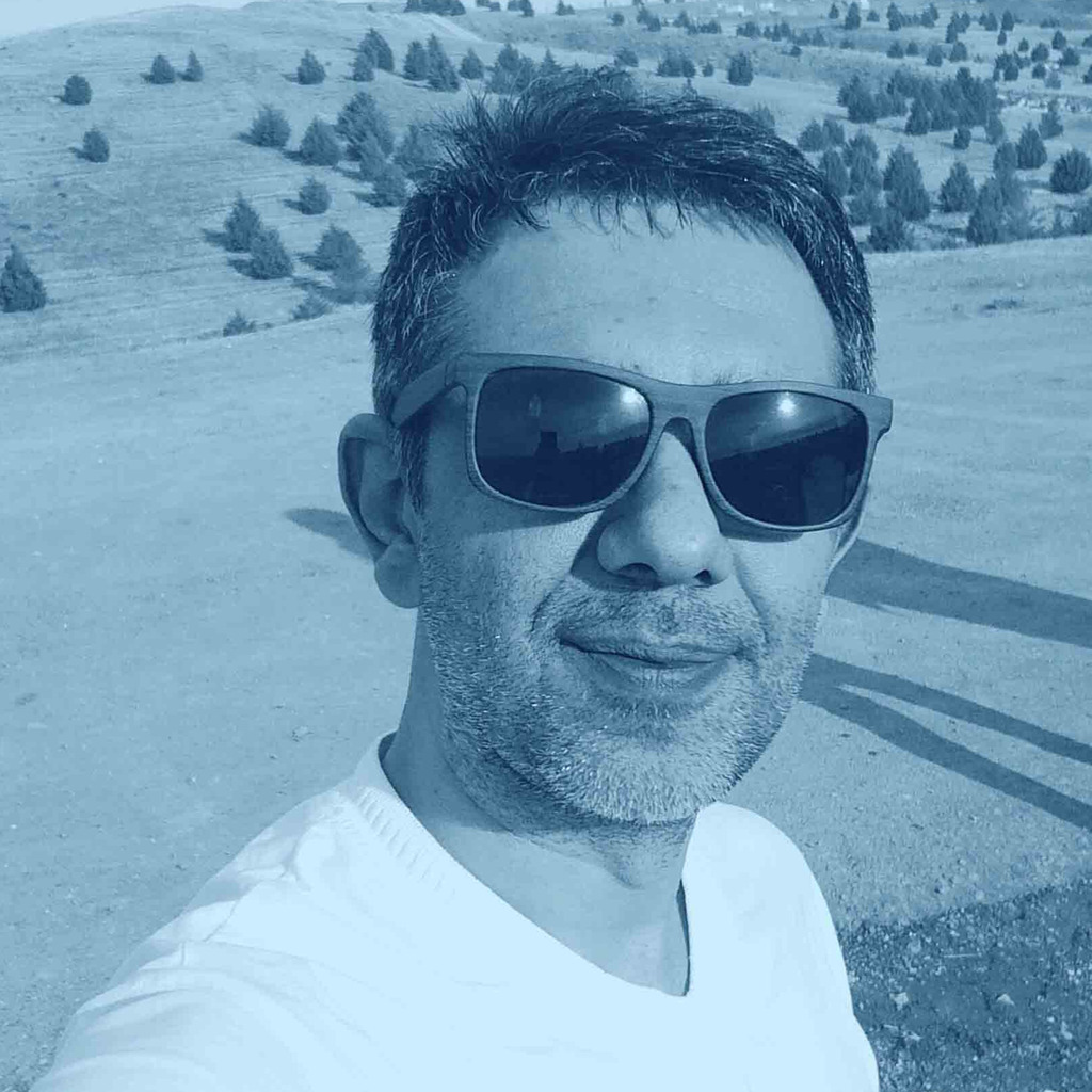 Davood Motevalizadeh - Software Developer - Mobin Parto Co. | XING