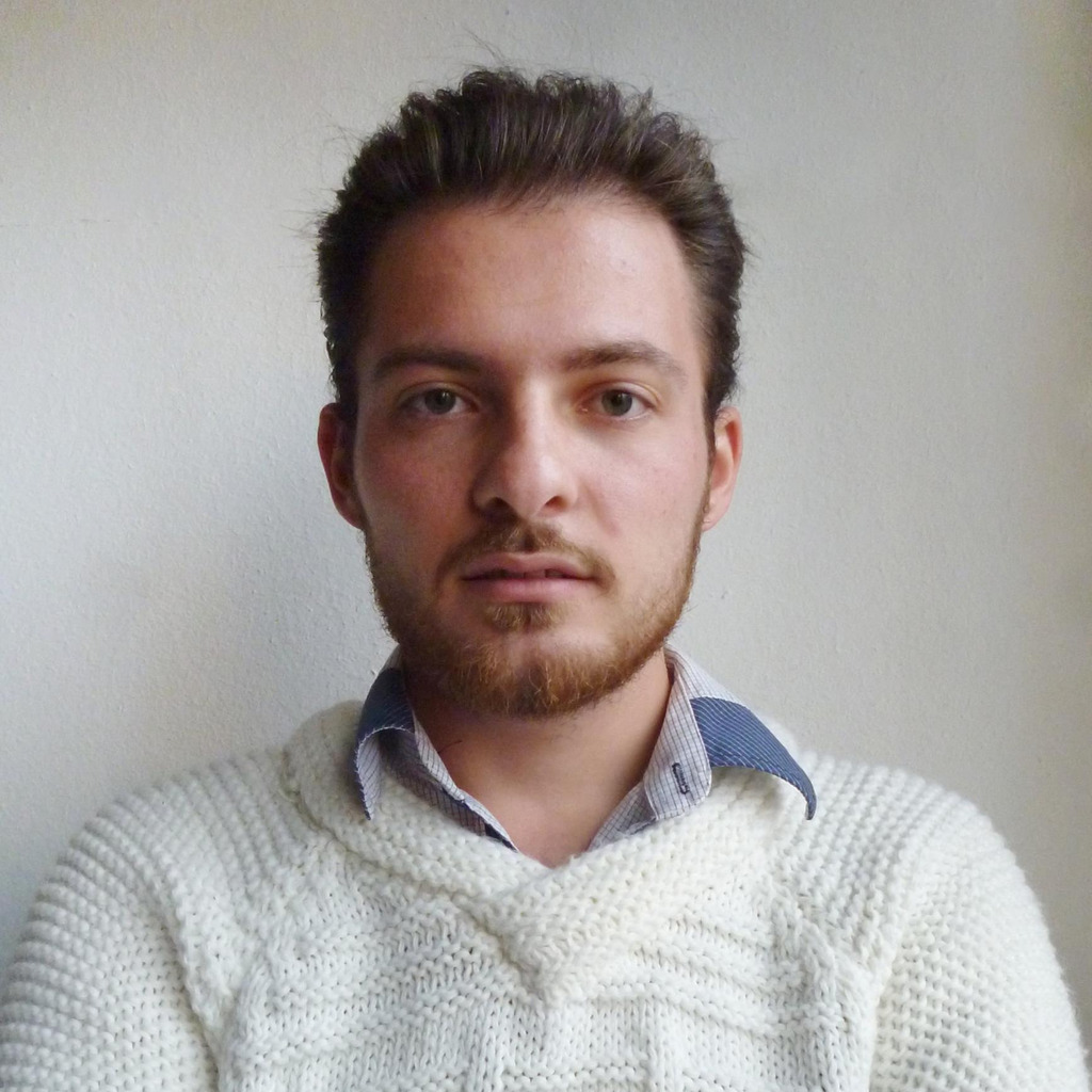 Flamur Beqiraj - Frontend Developer - Axians Deutschland | XING