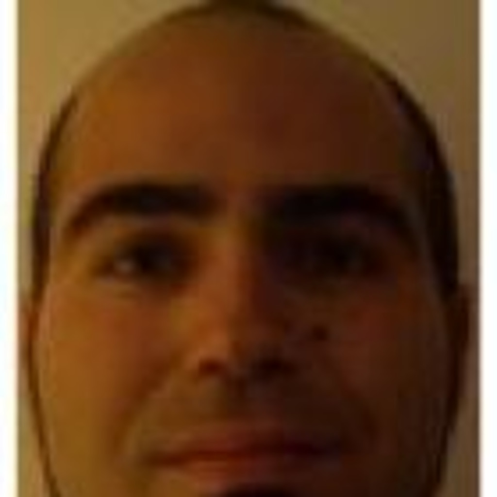 Daniel Puche - Jurista-Politólogo con idiomas - Fundación Internacional | XING