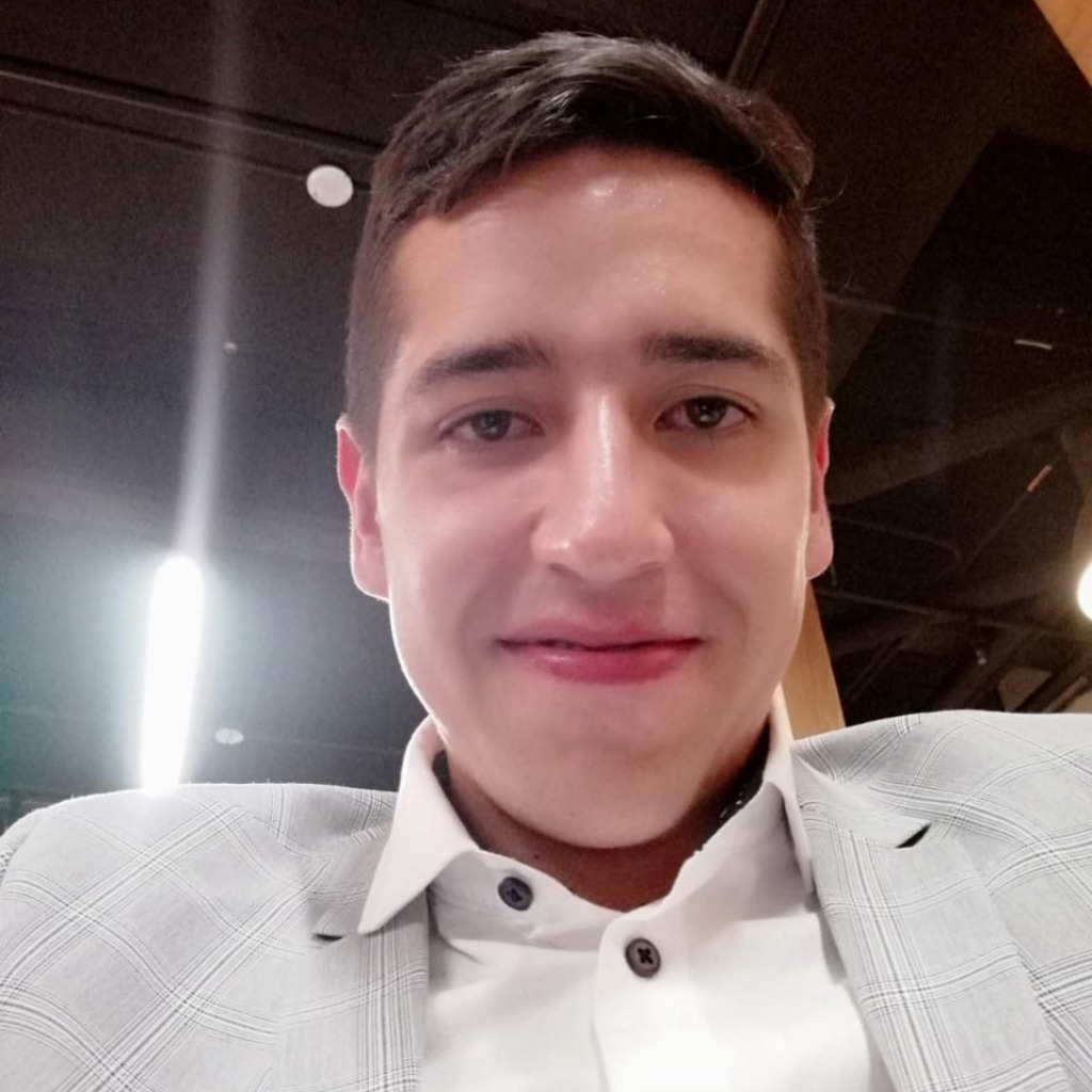 Julio esteban Moreno sanchez - Profesional en logistica - Logística profesional | XING