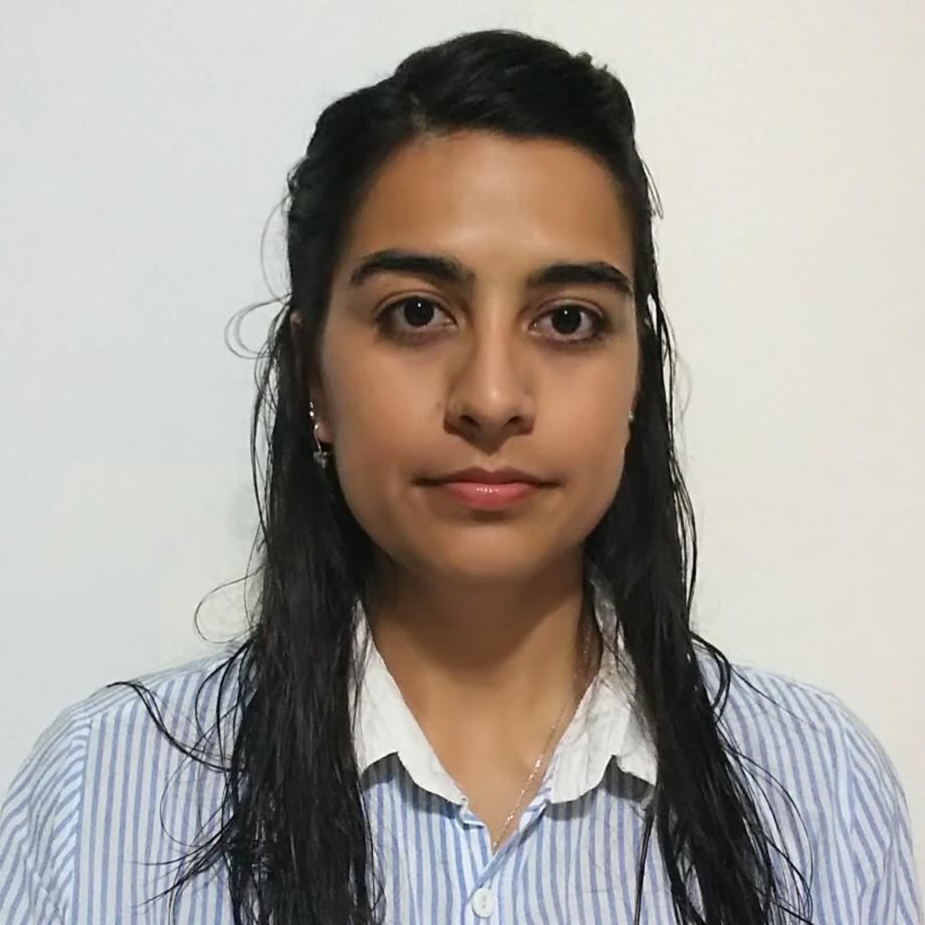 Anahi Rodriguez - technical in occupational safety and hygiene, pastry ...