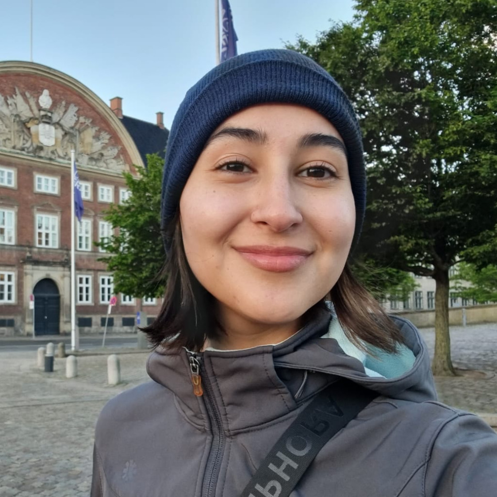 Maria Paz Abarca: Ausbildung und Berufserfahrung | XING