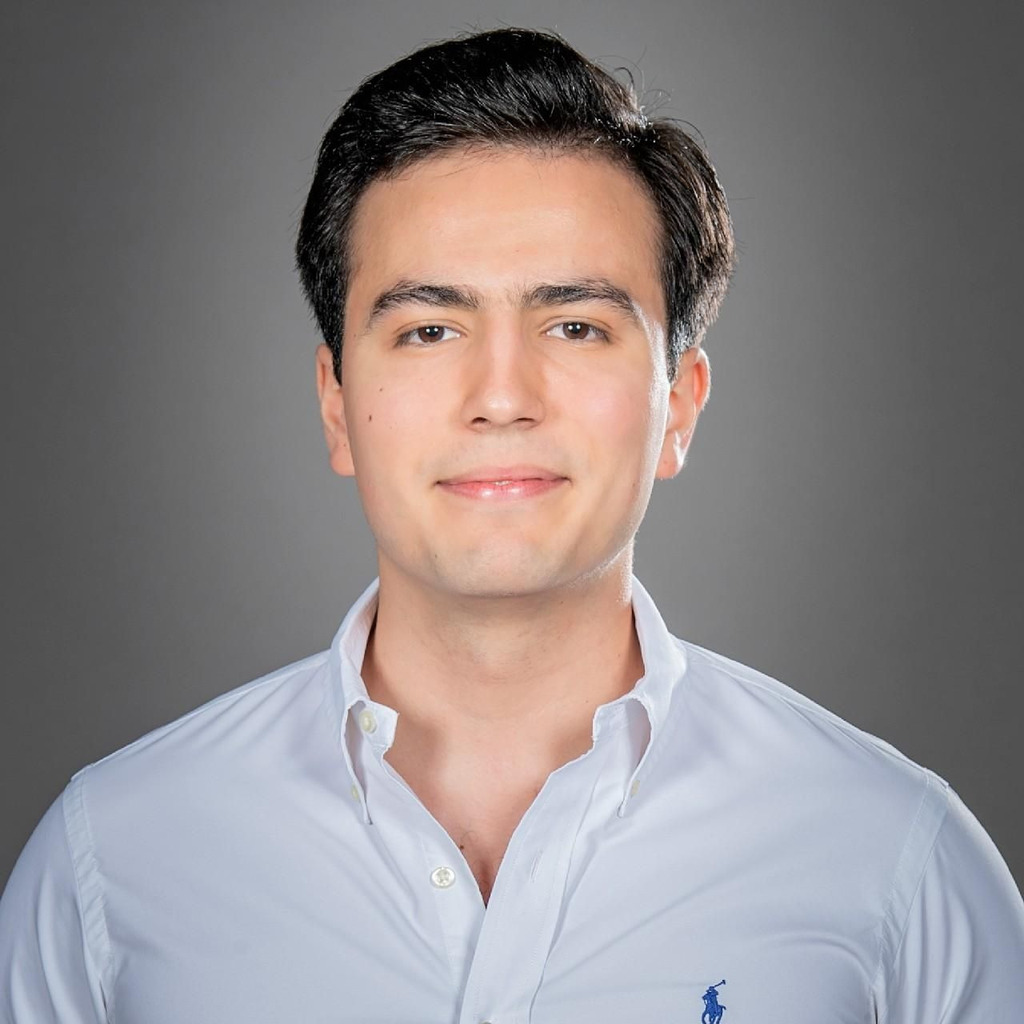 Alejandro Guevara - Business Intelligence Consultant - Apex Systems | XING