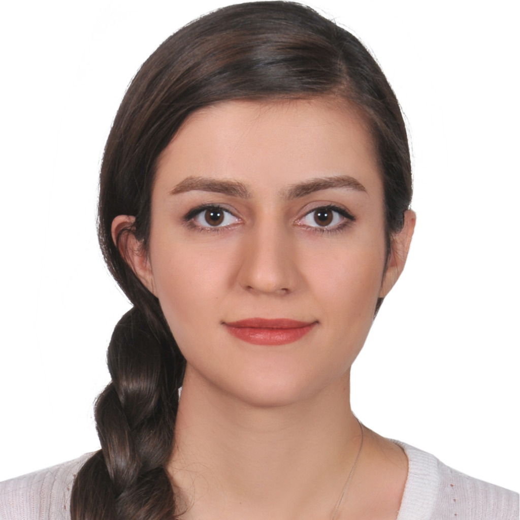 Ghazal Daliran Firouz - Werkstudentin - International Featured Standard ...