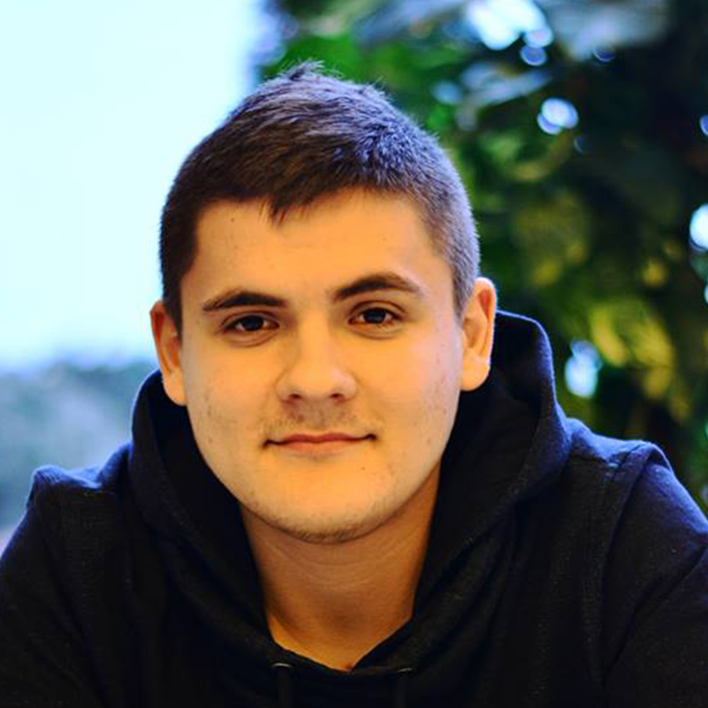 Ing. Anca Daniel - Software Developer - Continental AG | XING