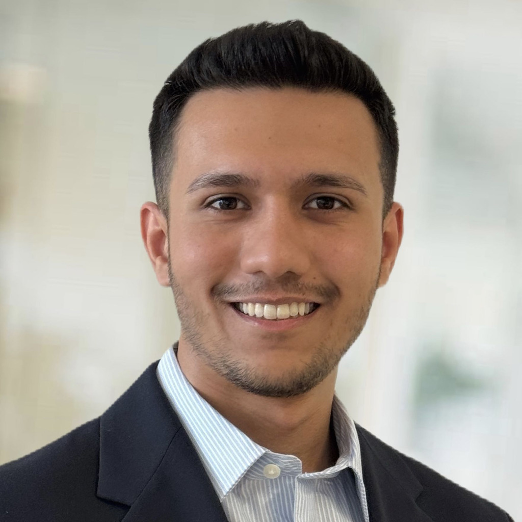 Mohammadhesam Ansari - Werkstudent im Bereich Baumanagement - Drees ...