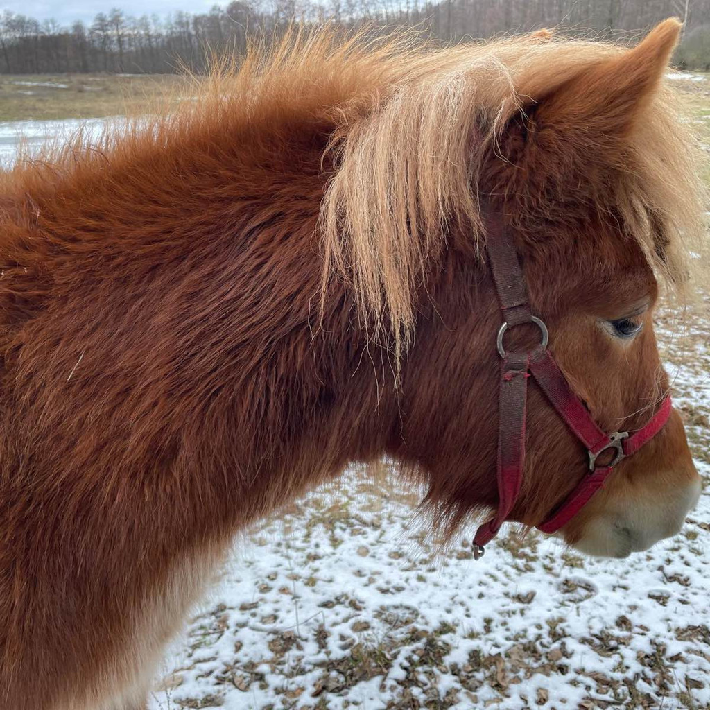 Andreas Cords - Bodenleger - ORA | XING