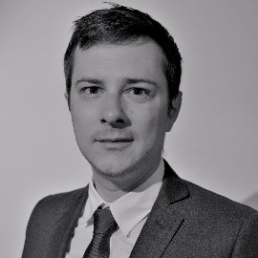 Dr. Victor Andrei - Consultant - Driver Trett | XING