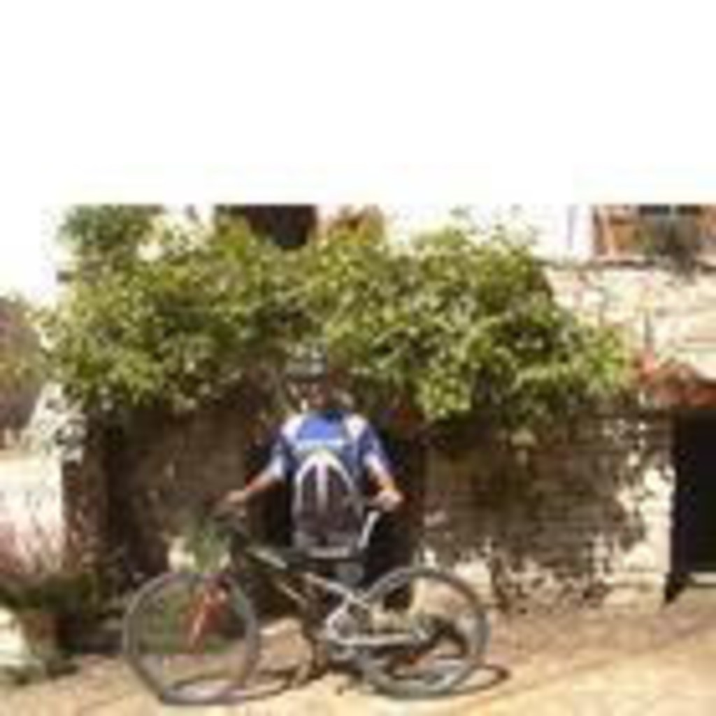 Prof. Stéphane Marceau - responsable - Destination Horizons | XING