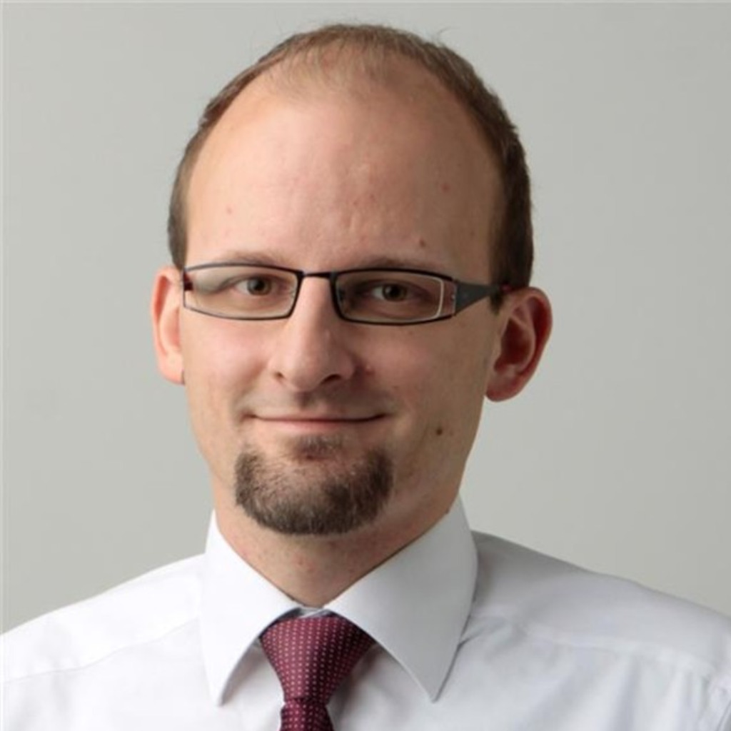 Daniel Kirchner - IT Application Consultant ERP / Wholesale ...