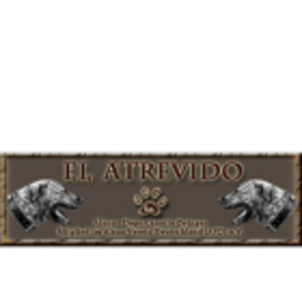 Stephan Keil - (Hobby)Hundezüchter - El Atrevido | XING