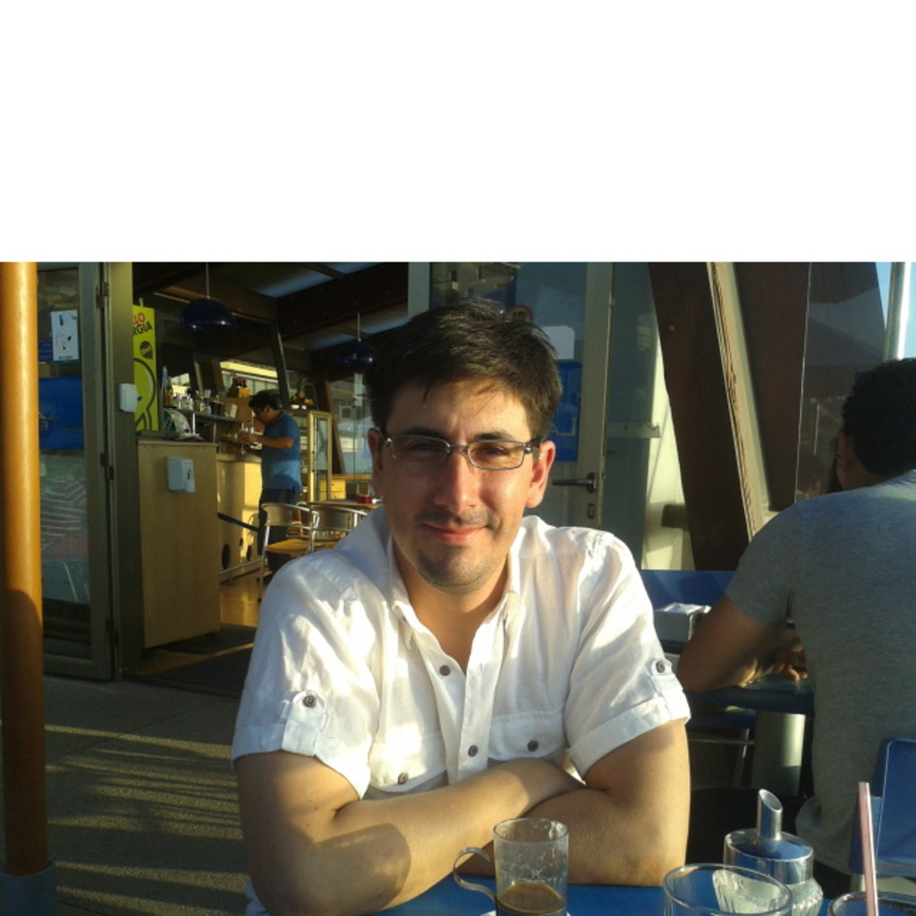 Rodrigo Díaz - PROFESIONAL INDEPENDIENTE - INDEPENDIENTE | XING