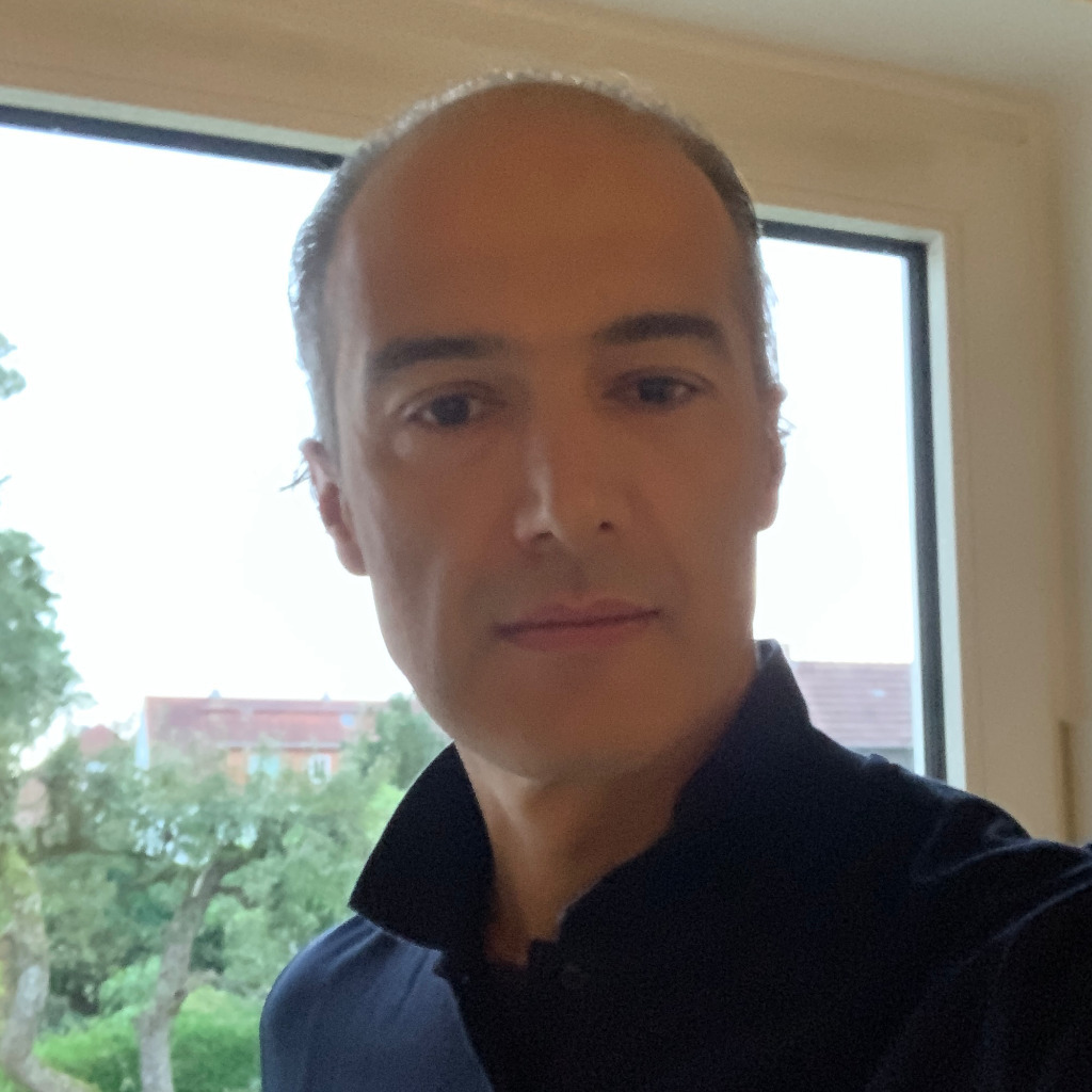 Riccardo Belardinelli - Senior Research Scientist / Project Lead ...