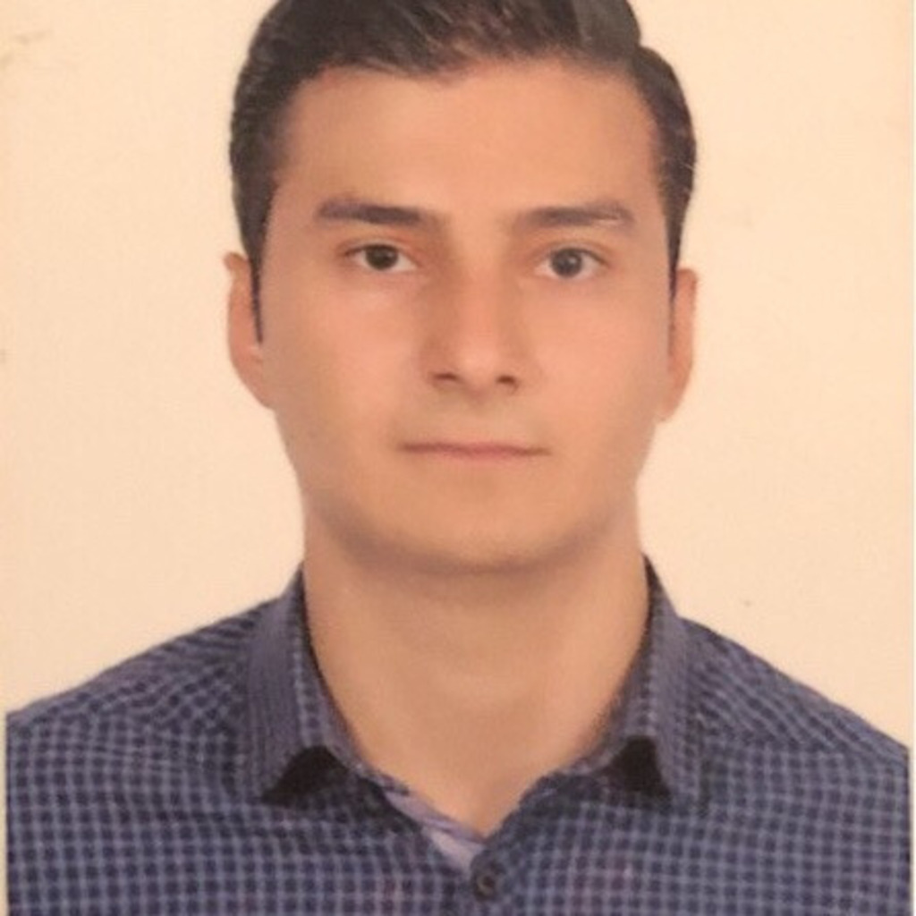 Amir Gholami - Senior Civil Engineer - Iranian National Standardization ...