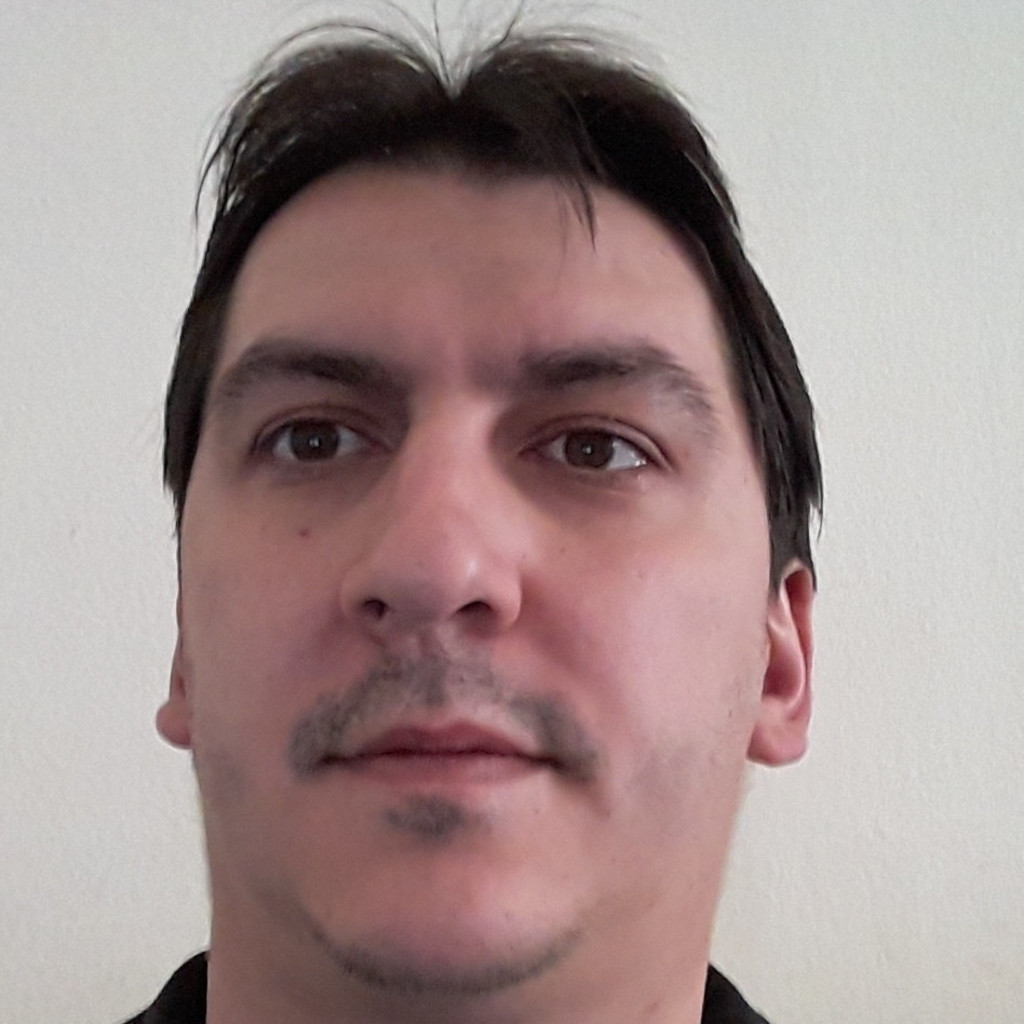 Goran Matic - Territory Sales Representative - TGW Logistics Group GmbH ...