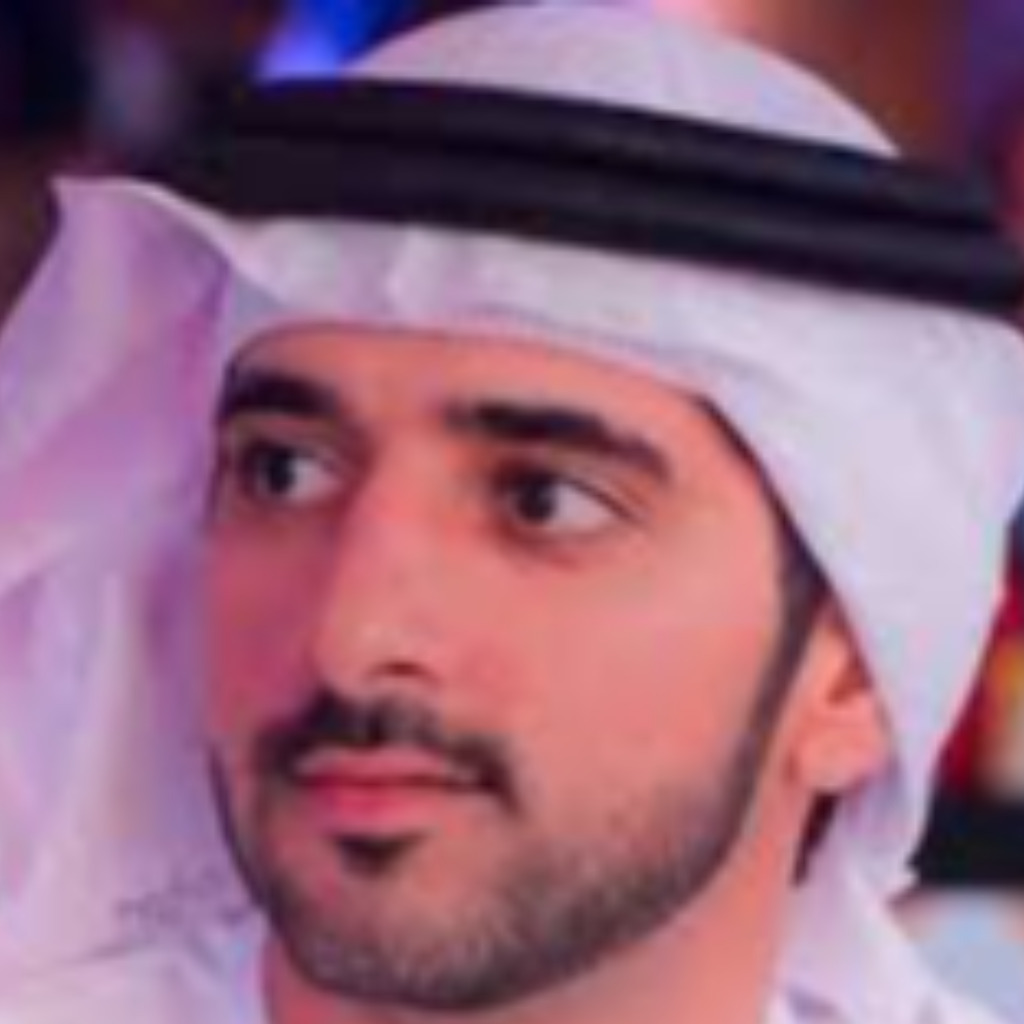 Hamdan Sheikh Hamdan - Chairman of the Dubai Executive Council - Dubai Holding | XING