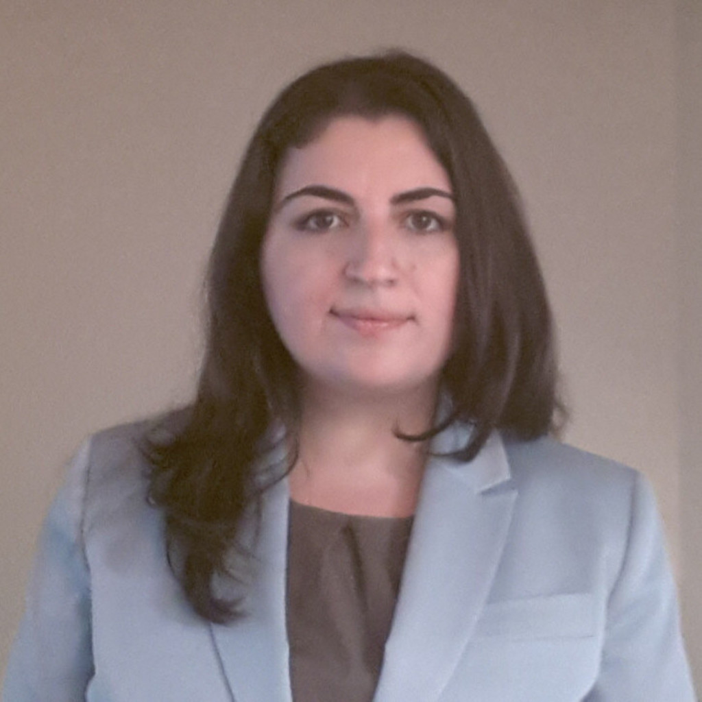 Lilya Mirzoyan - Software Engineer - Accenture Technology Solutions | XING