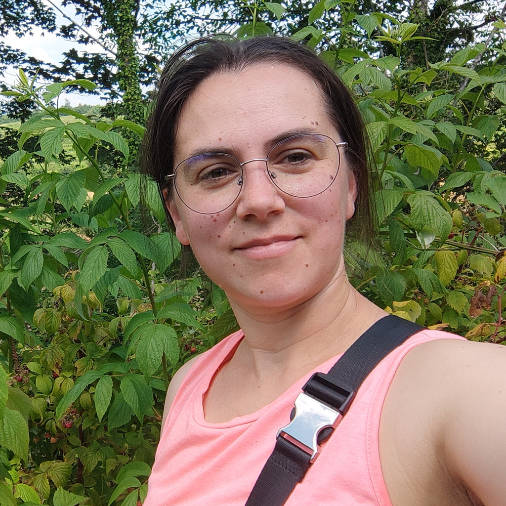 Teodorescu Ana Maria - Produktionshelfer northrop grumman - Northrop ...