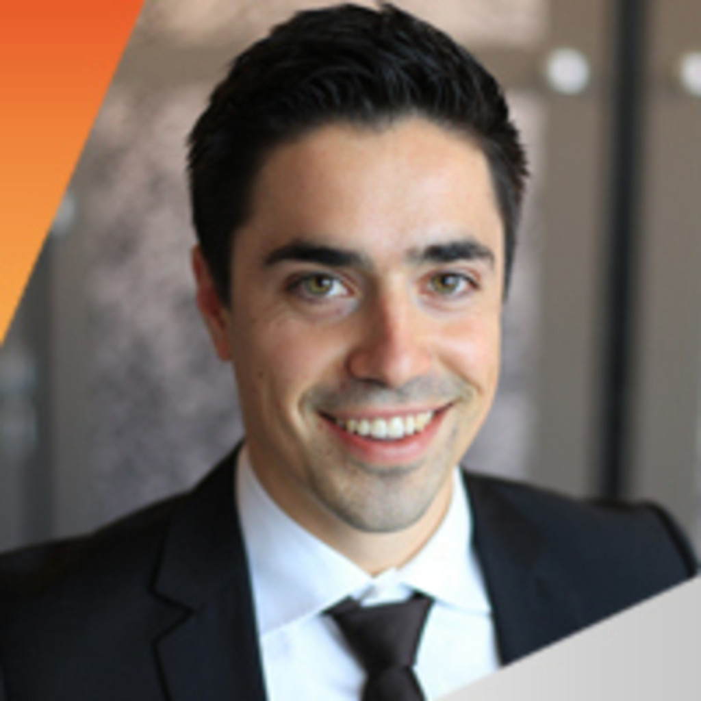 Mathieu Lang - Senior manager - Amaris | XING