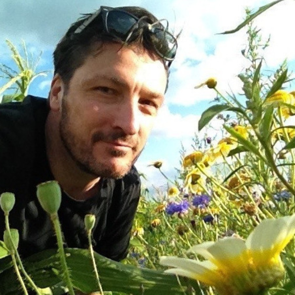 Tim Schuster - Graphic Recorder - bikablo bildwerk | XING