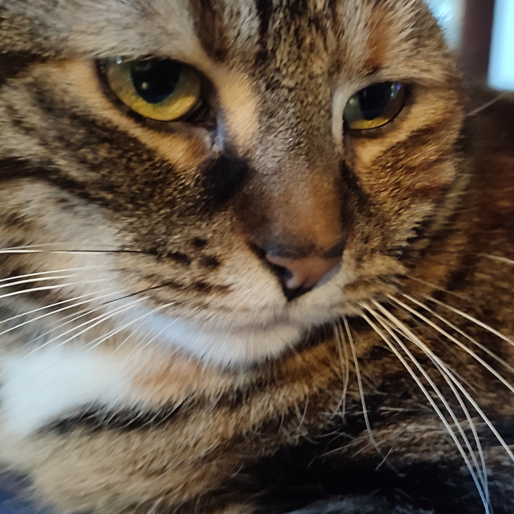 JULIE LEGLEU - Chanteuse - myself | XING