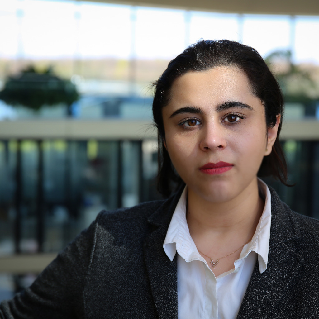 shima shahadifar - Consultant Project Management - Tagueri AG | XING