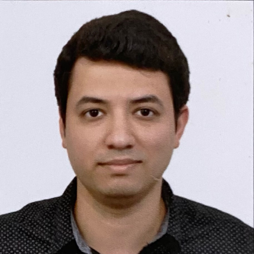 Amit Pareek - Associate Manager - Accenture Solutions Pvt Ltd | XING