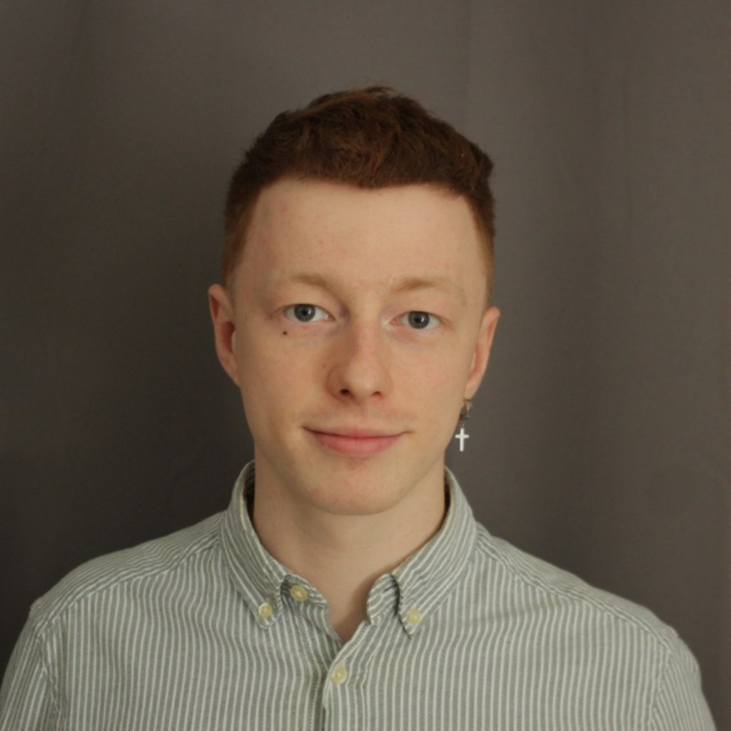 Oleksandr Ternovyi - Full-Stack Developer - digmed GmbH | XING