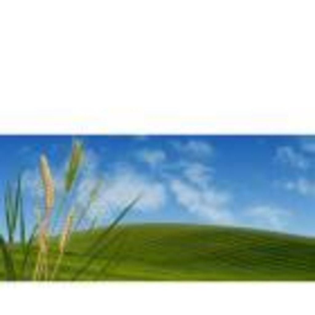 Mark H. Stuart - Principal Broker / Designated REALTOR - Southern ...