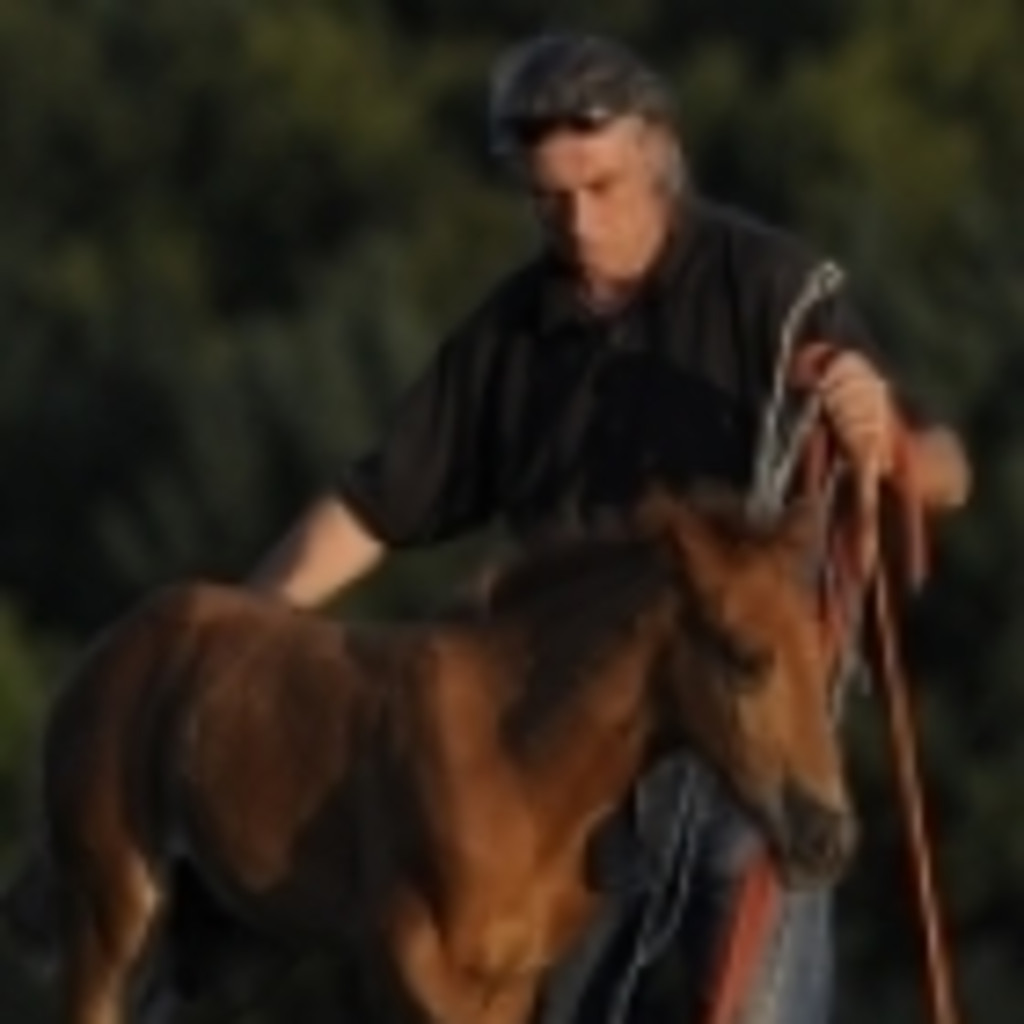 Blaut in der Personensuche von Das Telefonbuch