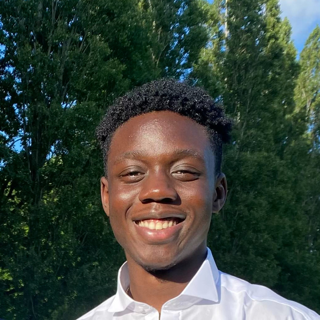 David Alao - Administrative Intern at CIDL Group - CIDL Group | XING