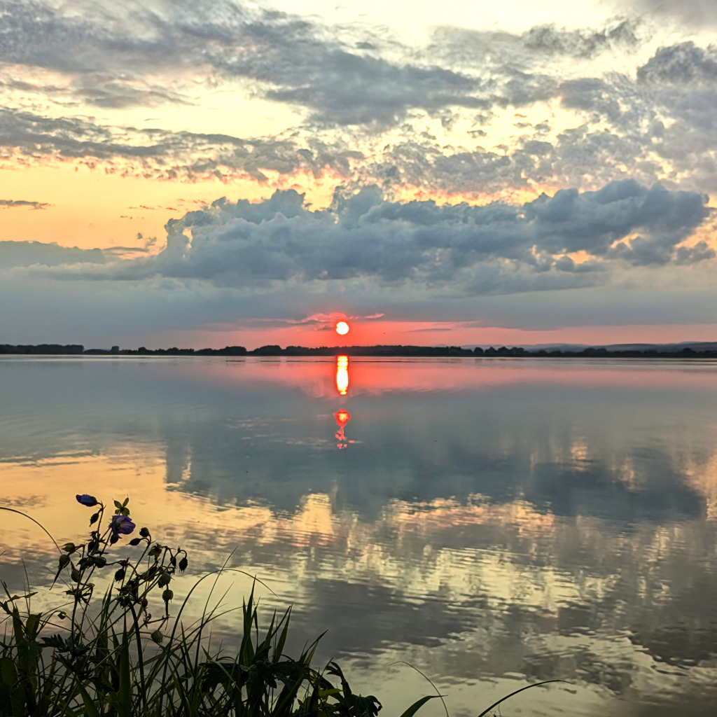 Jacqueline Gerber - Sozialarbeiter - Klinik | XING