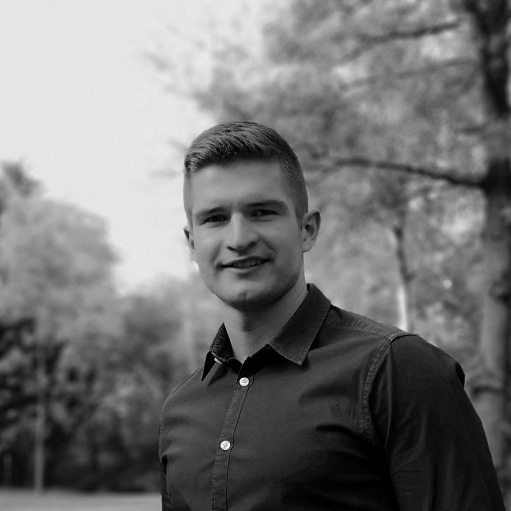 Daniel Janzen - NDT Coordinator - Novelis Koblenz GmbH | XING