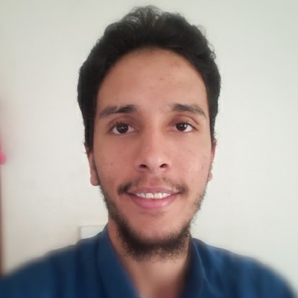 NabiL Ashbat - Frontend Developer - Tharawat for financial services and financial investment | XING