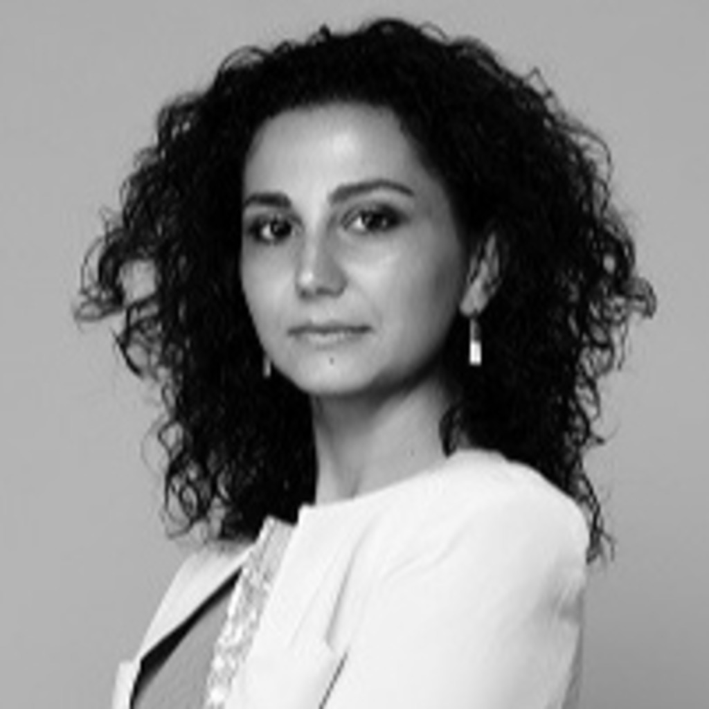 Alina Parkhomenko - SAP Business Analyst - Accenture | XING