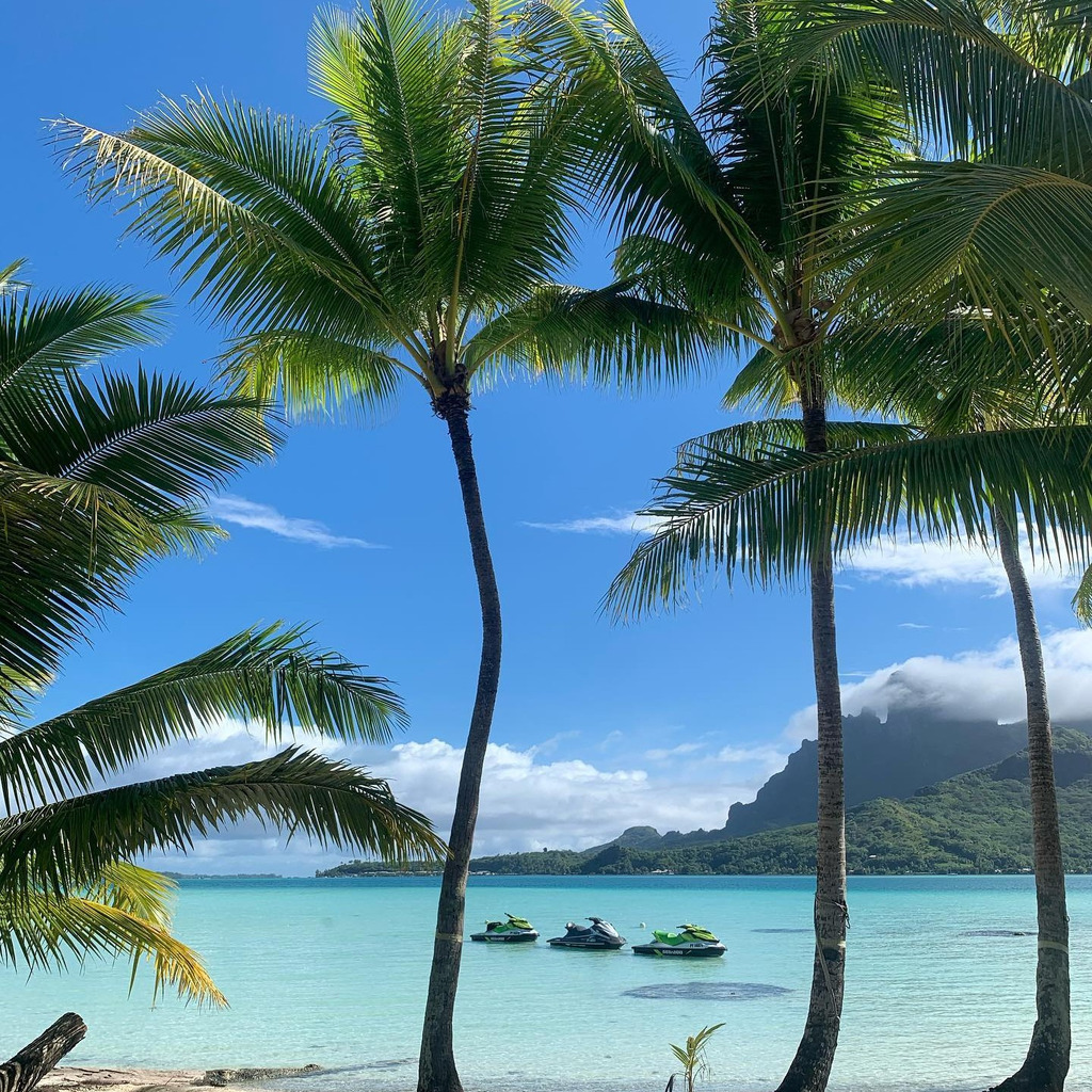 THE CHURCH OF JESUS CHRIST OF LATTER-DAY SAINTS - Cardiovascular ...