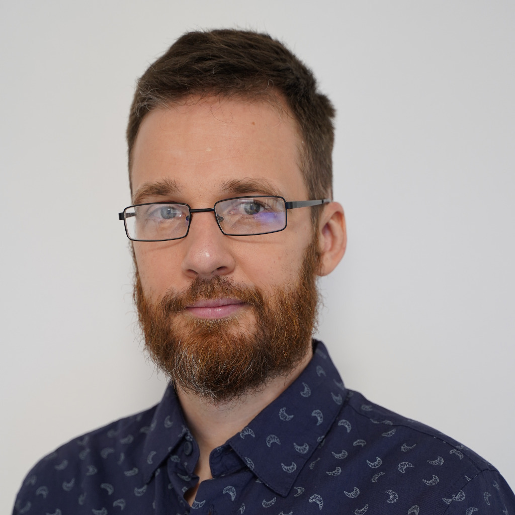 Anton Dementyev - Software Developer Java, Full-Stack - Freiberufler | XING