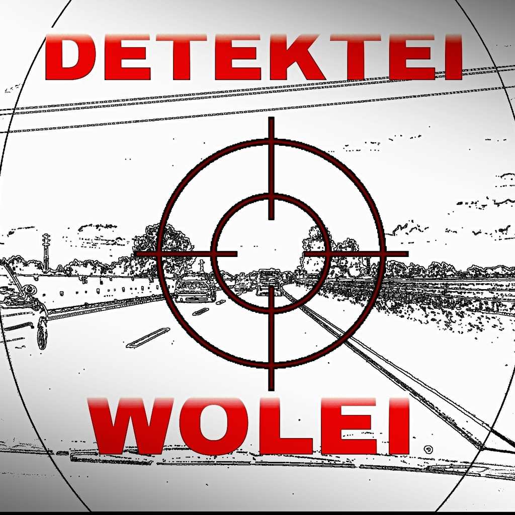 Wolfgang Leitner - Berufsdetektiv - Detektei WOLEI | XING