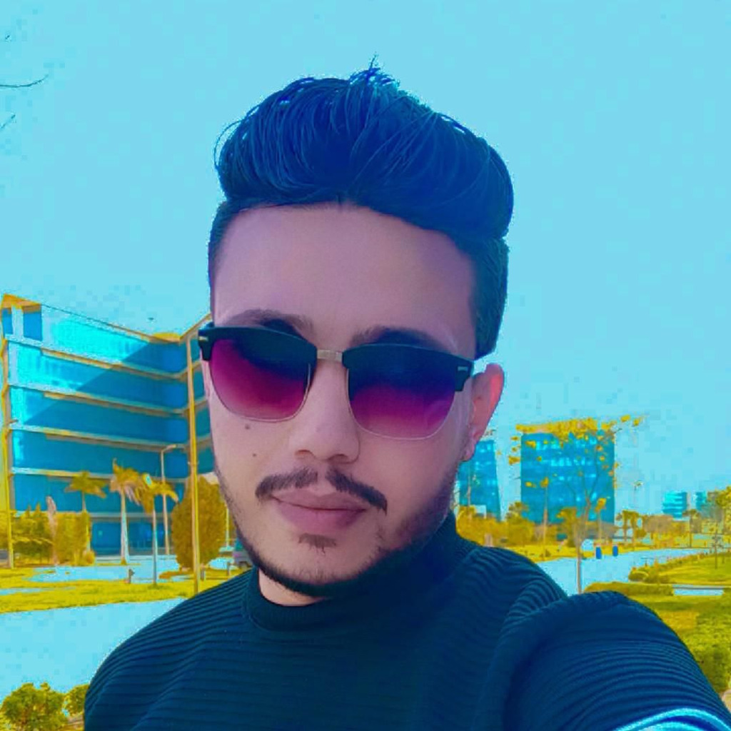 Ayman Ebrahim - Back office Radio field support engineer - Huawei Enterprise | XING