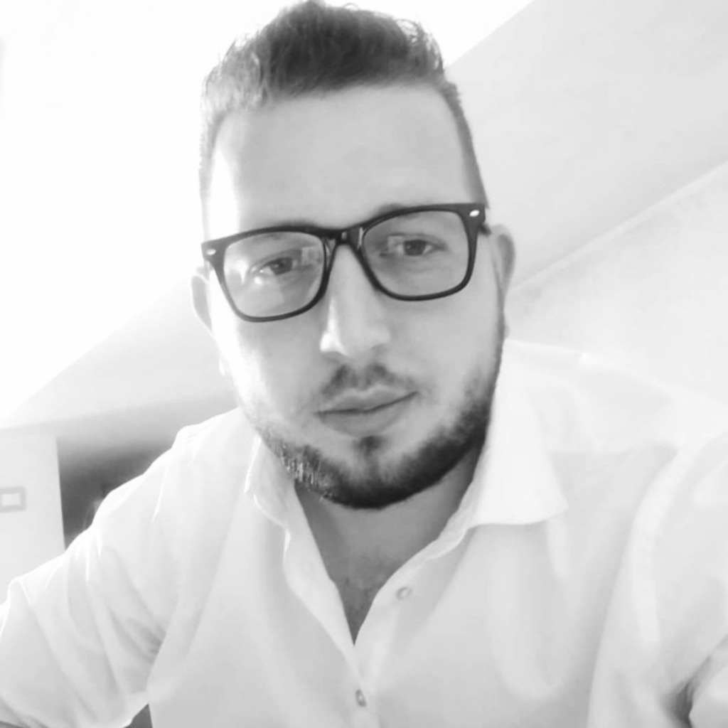 Cosmin Mihoc - Web Developer - Mt solutions srls | XING
