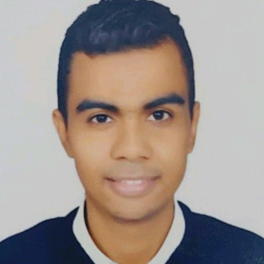 ahmed gameel - Bim Developer - bit-world | XING