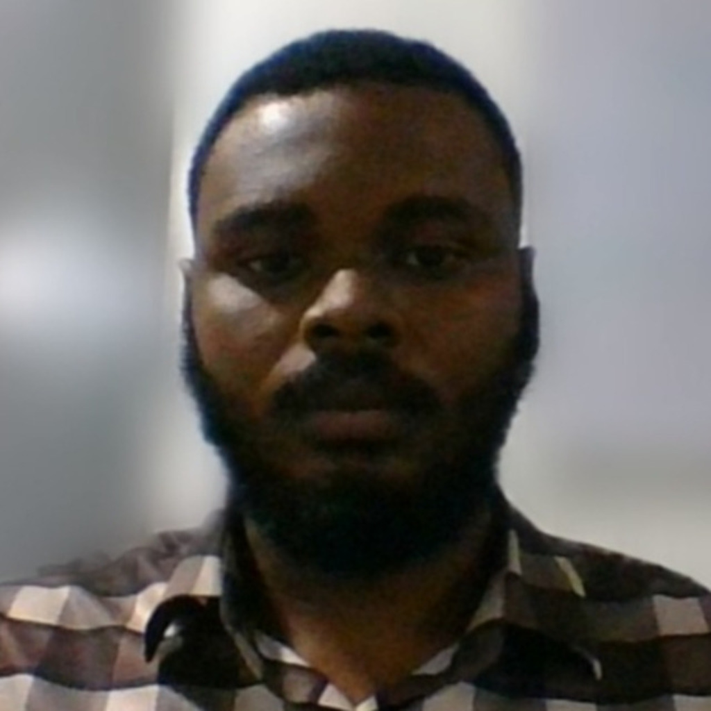 Joseph Saheeb - Senior Backend Developer - BSSM Nigeria Limited | XING